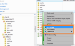Subversion — EduTech Wiki